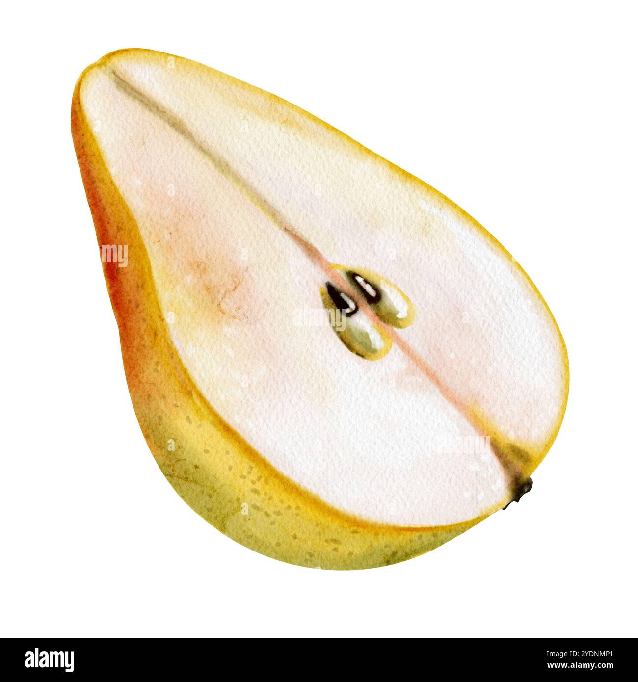 Half of a pear. Seeds, Ripe and juicy fruit. The pulp is visible. The ...