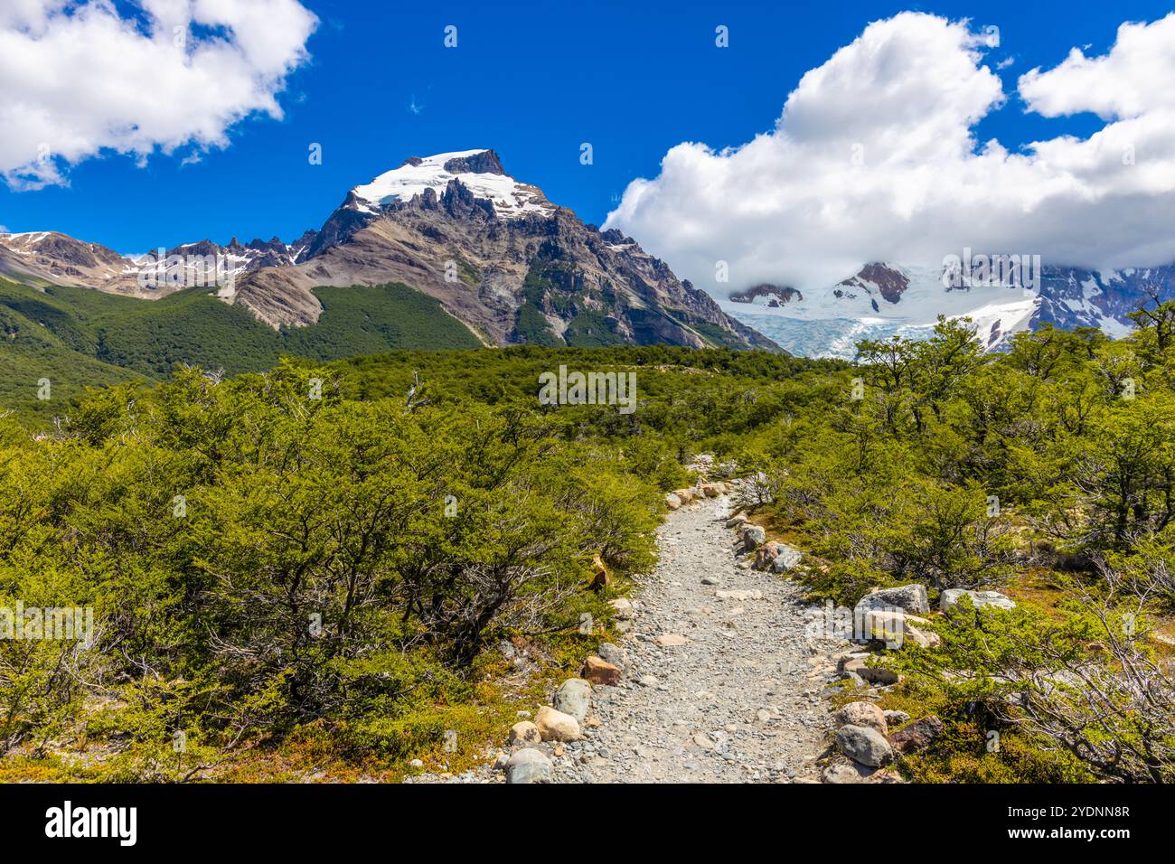 El Chalten mountain in Patagonia, Argentina. Fitz Roy and Cerro Torre ...