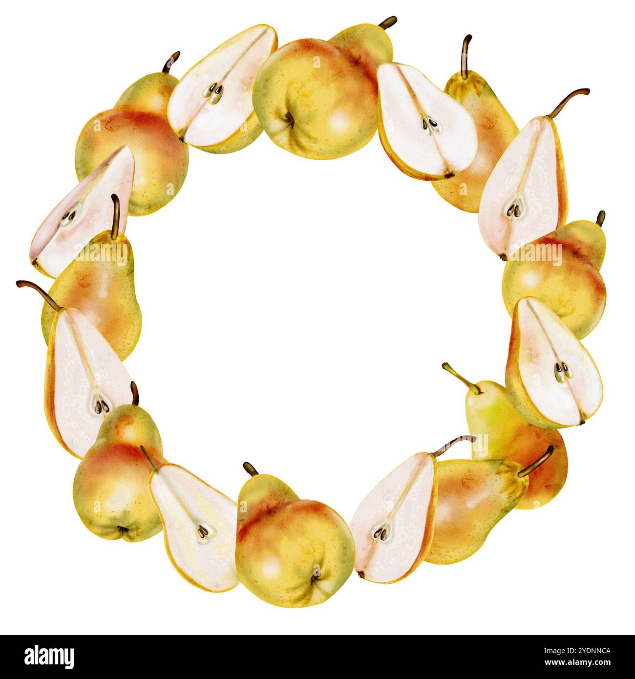 Frame with pears. Wreath of fruits. Fruits with a small branch. Pear ...