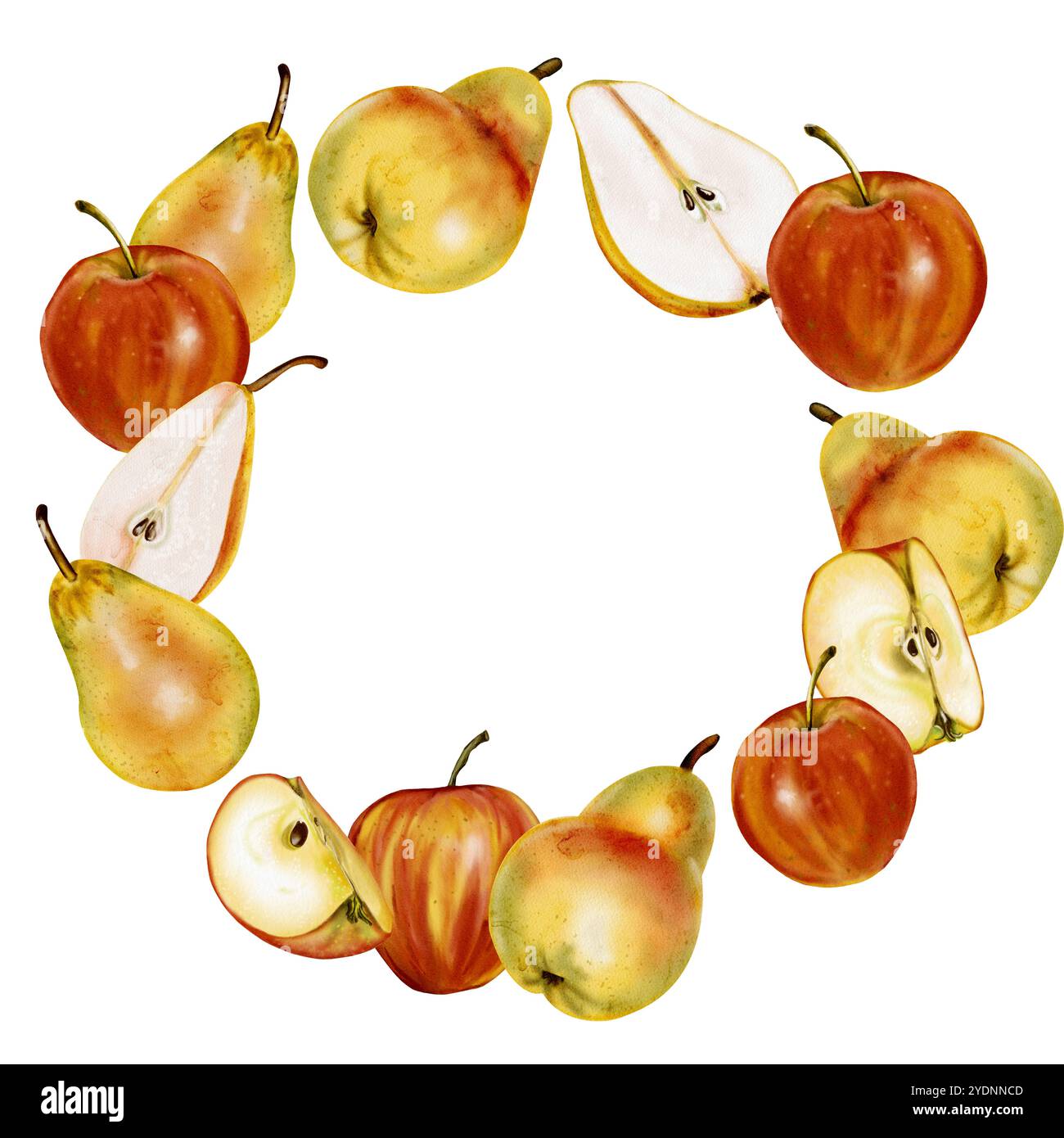 Frame with pears and apples. Wreath of fruits. Fruits with a small ...