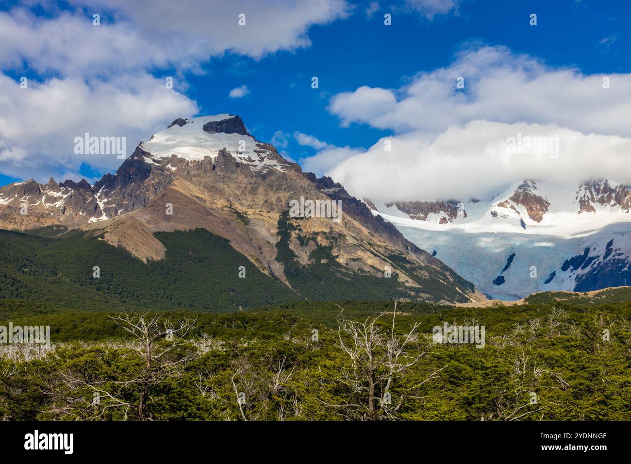 El Chalten mountain in Patagonia, Argentina. Fitz Roy and Cerro Torre ...
