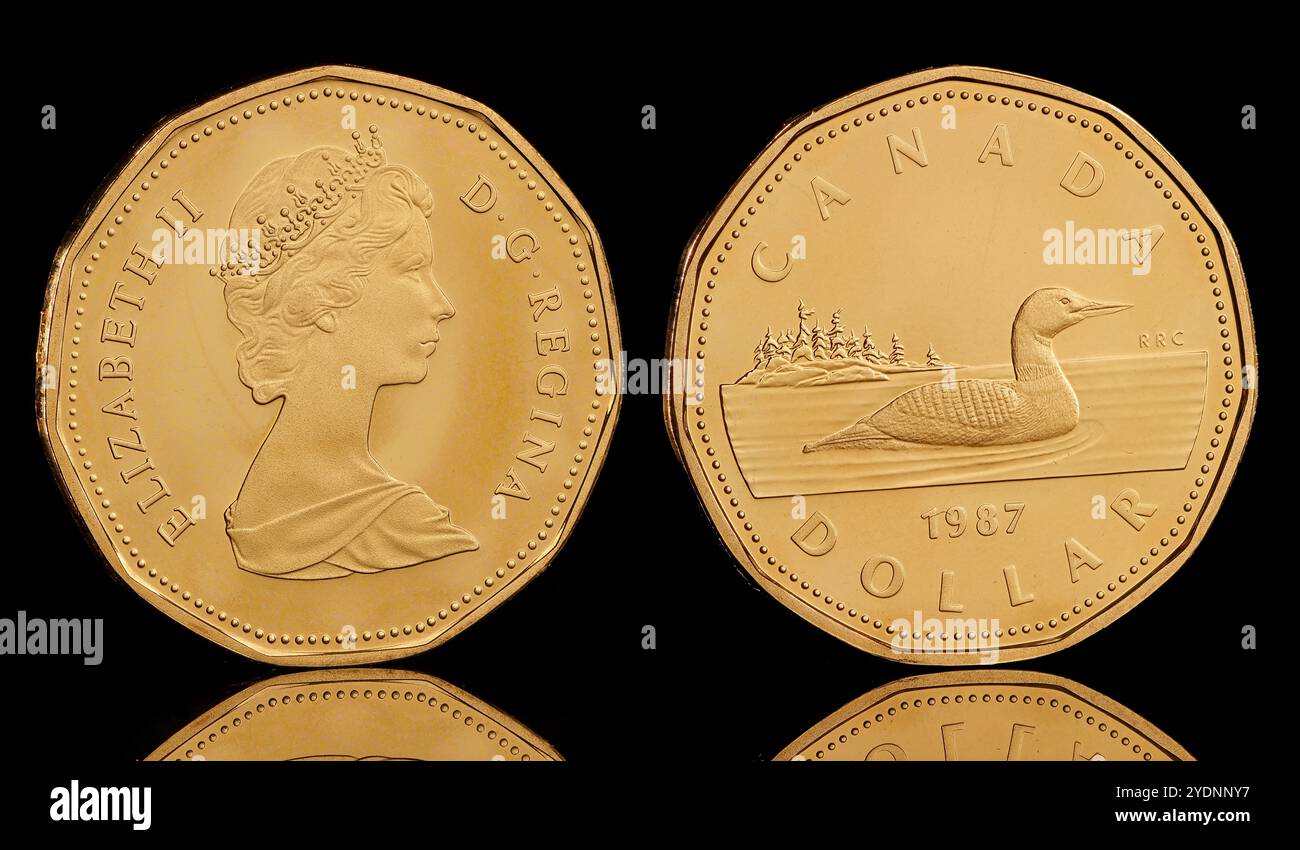 Canada One Dollar coin with The Loon design on the reverse and Arnold ...