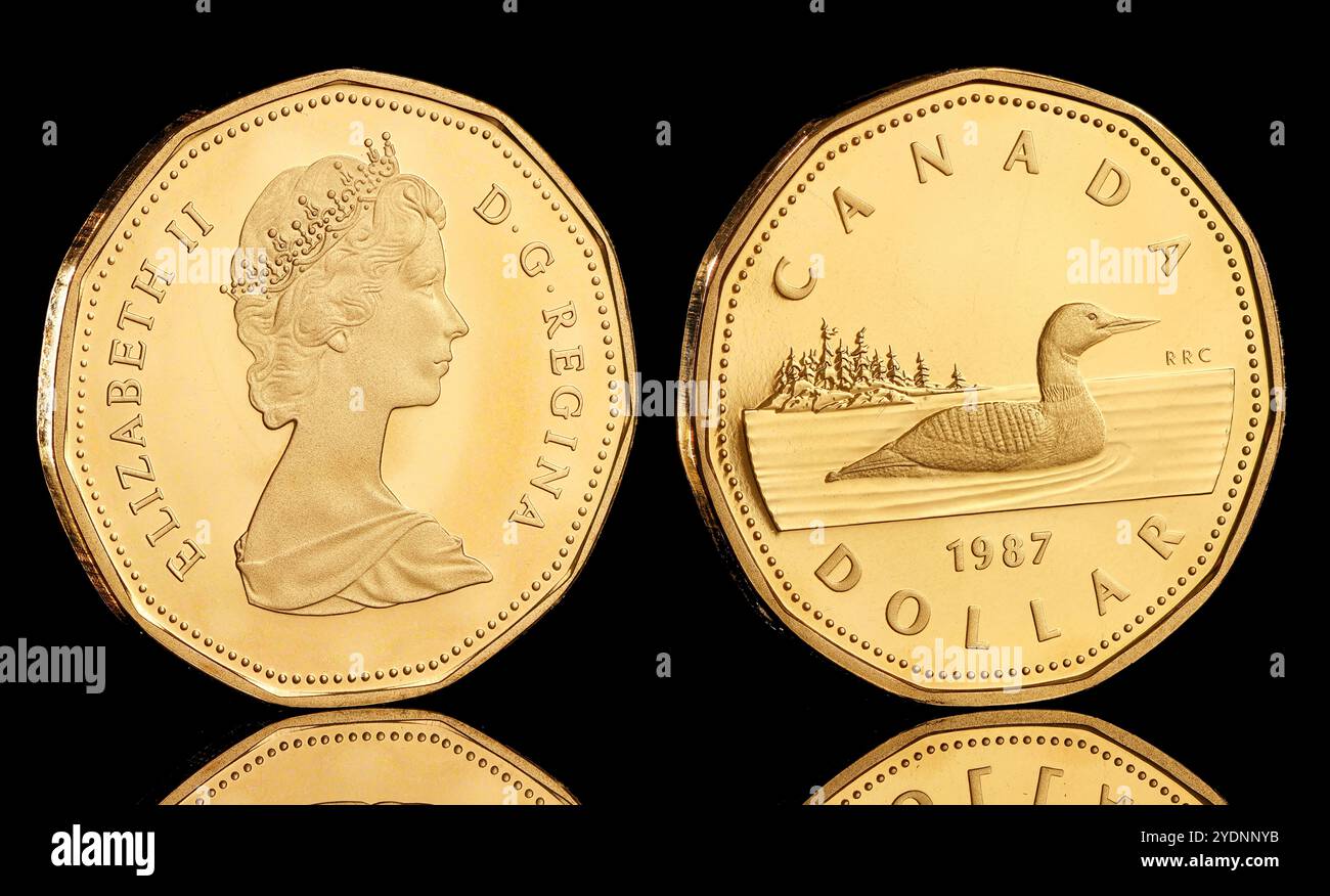 Canada One Dollar coin with The Loon design on the reverse and Arnold ...