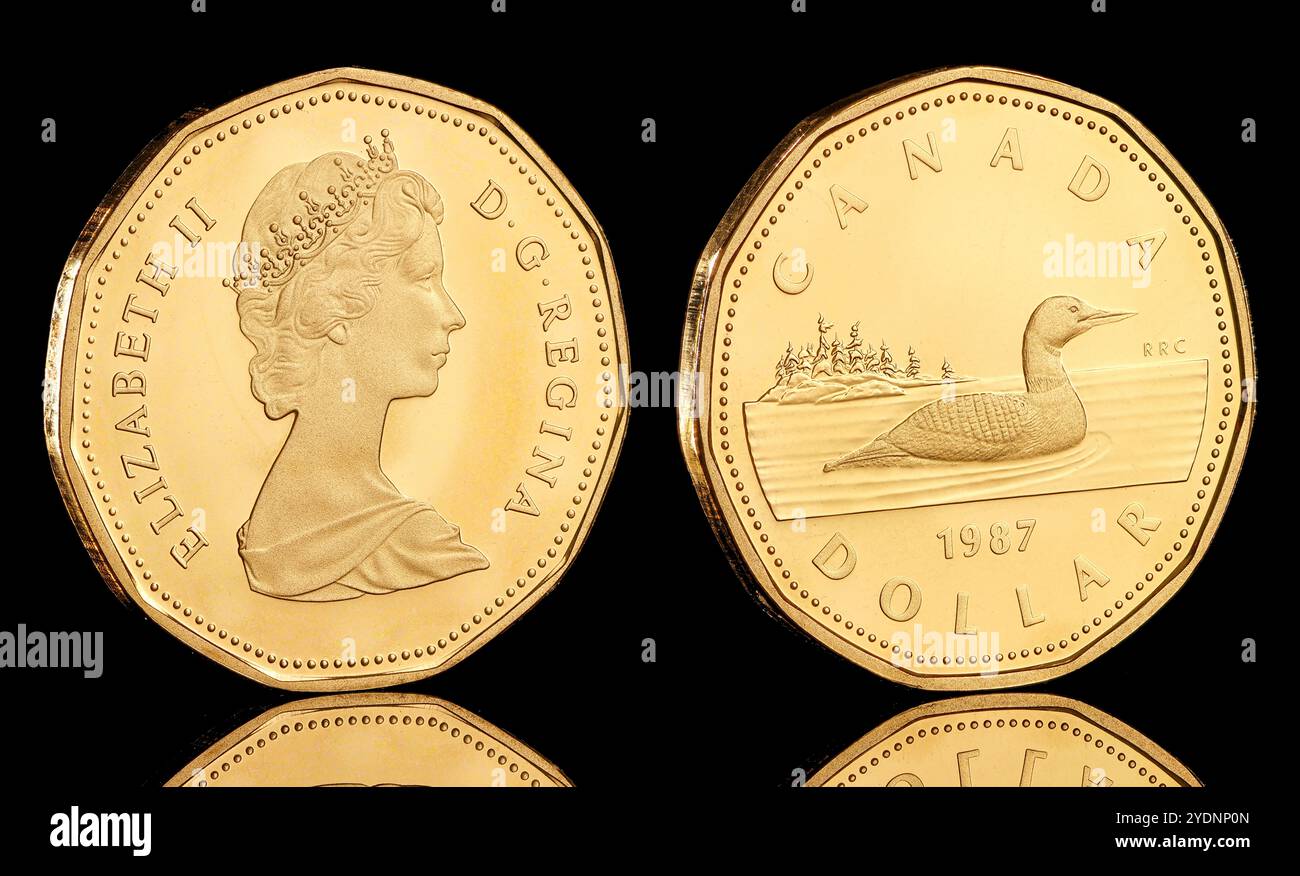 Canada One Dollar coin with The Loon design on the reverse and Arnold ...