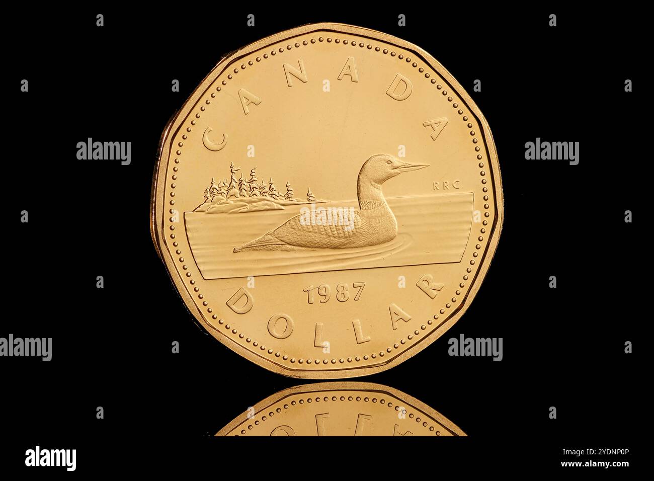 Canada One Dollar coin with The Loon design on the reverse and Arnold ...
