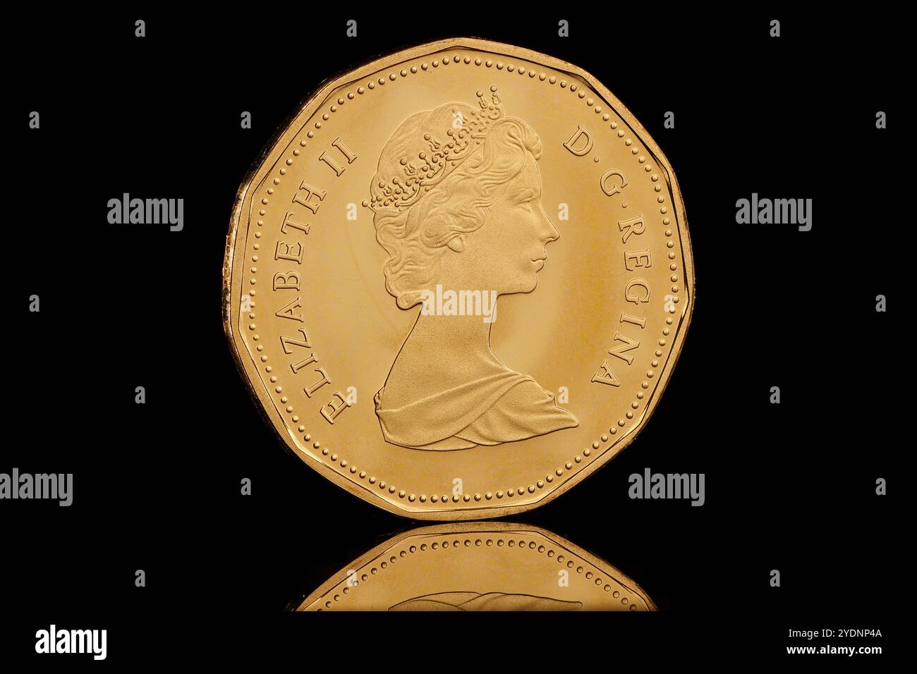 Canada One Dollar coin with The Loon design on the reverse and Arnold ...