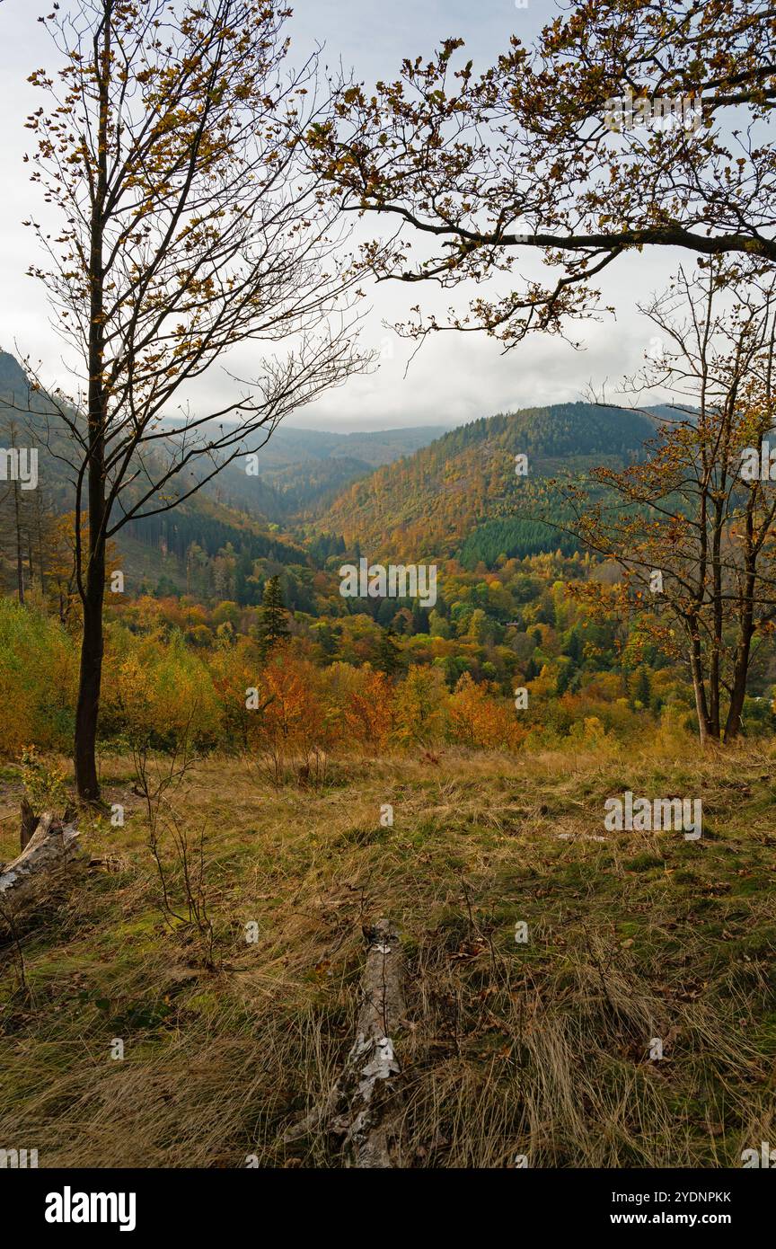 Thuringian forest autumn hi-res stock photography and images - Alamy