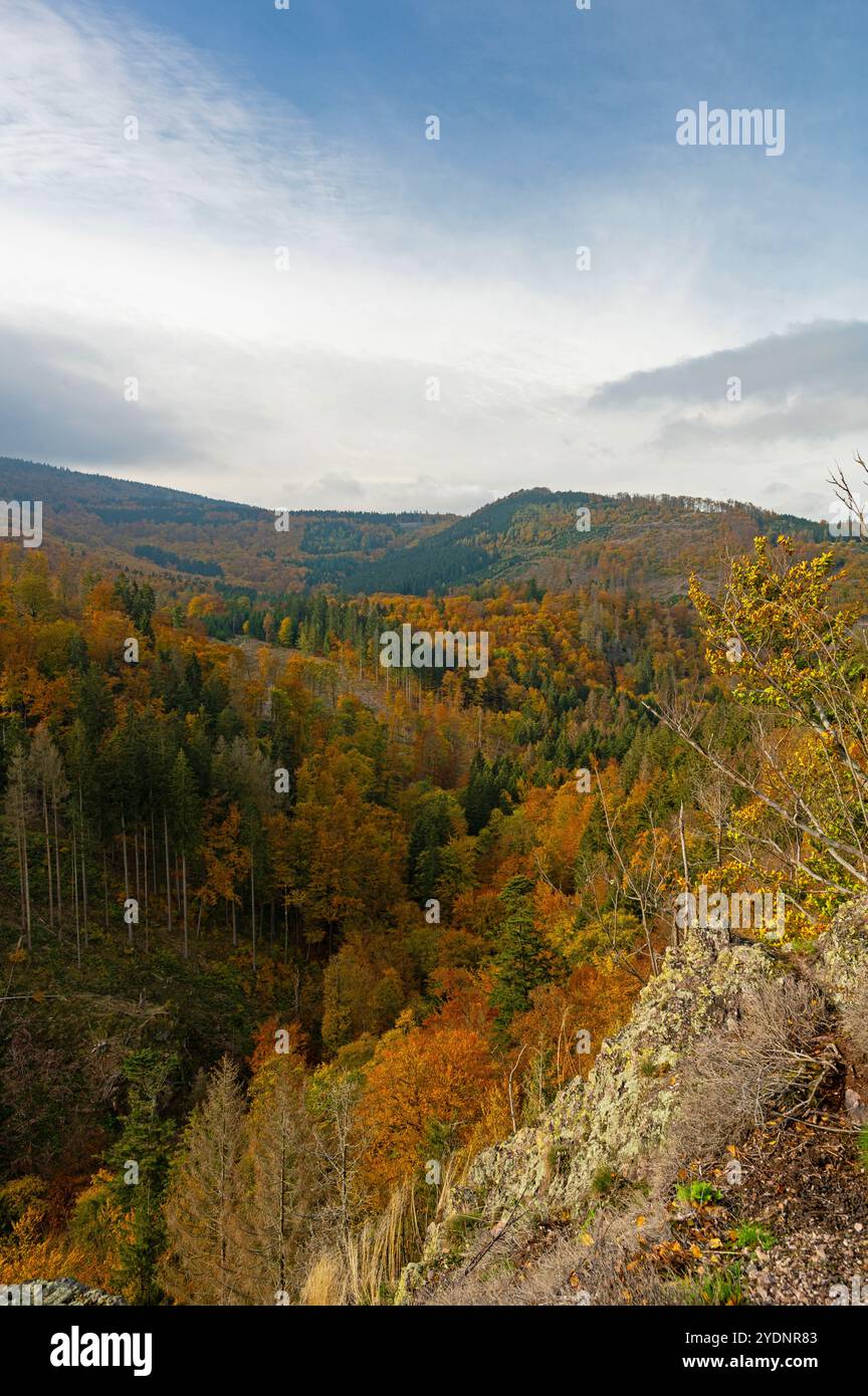 Thuringian Forest near Bad Tabarz in autumn Stock Photo - Alamy