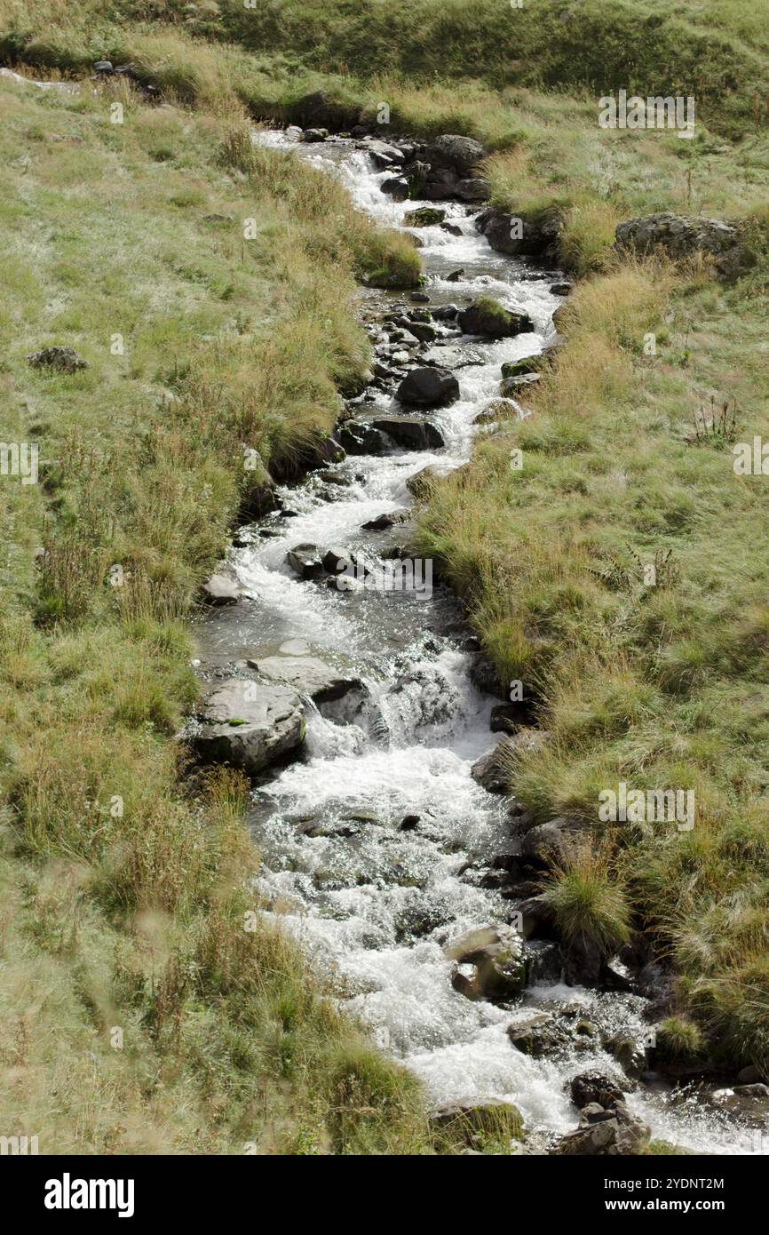 a clear, fast-flowing stream winding its way through a grassy, natural ...