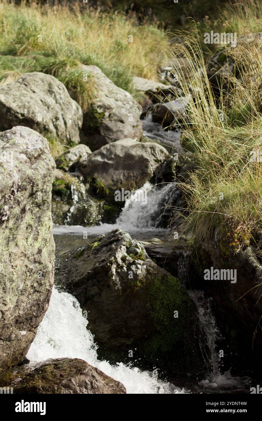 Tranquil mountain stream flows hi-res stock photography and images - Alamy
