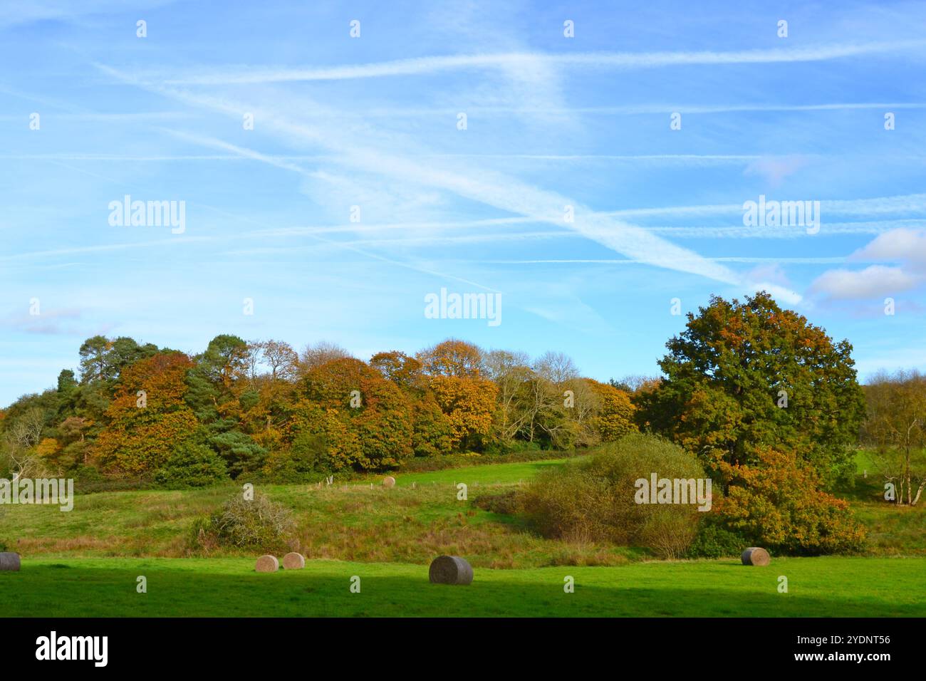 Countryside around the infant River Darent water meadows, Hosey Common ...