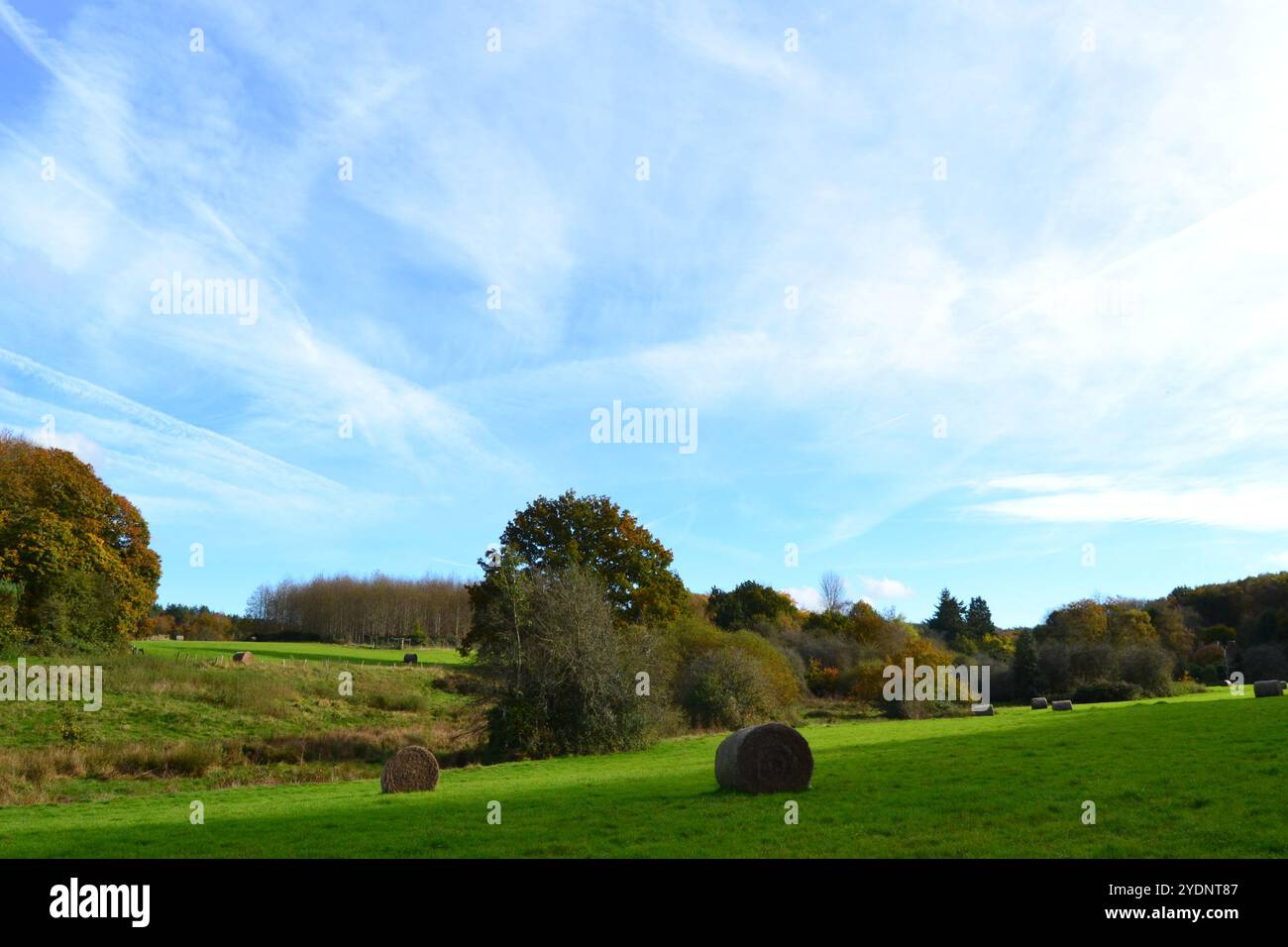 Countryside around the infant River Darent water meadows, Hosey Common ...