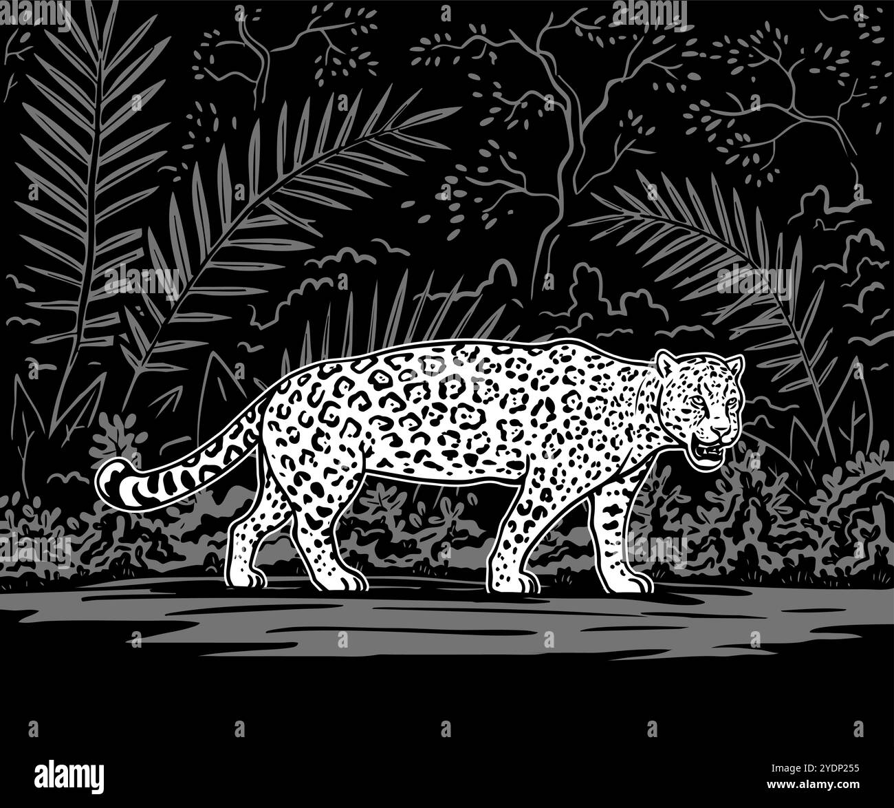 Jaguar in the wild jungle. Big cat hunting in the tropical forest. Zoo ...