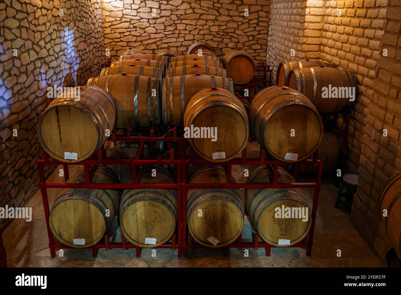 Wooden barrels of the special reserve and wine containers in the wine ...