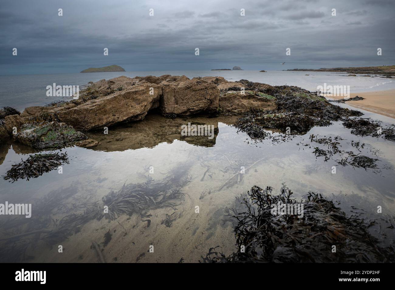 Bass rock hi-res stock photography and images - Alamy