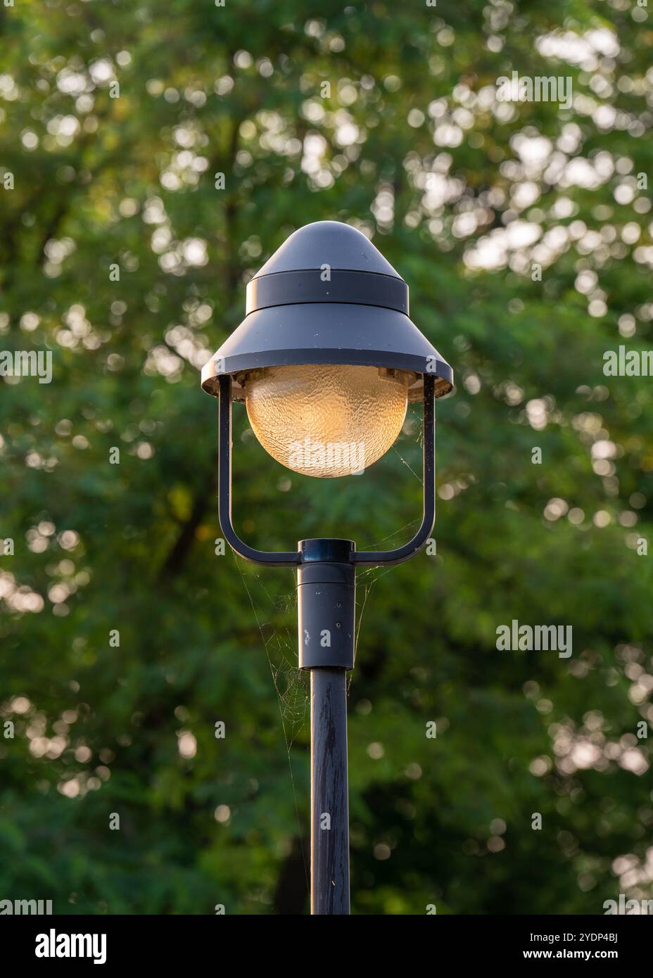 Lantern in park town hi-res stock photography and images - Alamy