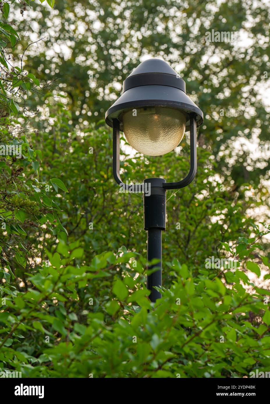 Old lantern in beautiful park hi-res stock photography and images - Alamy