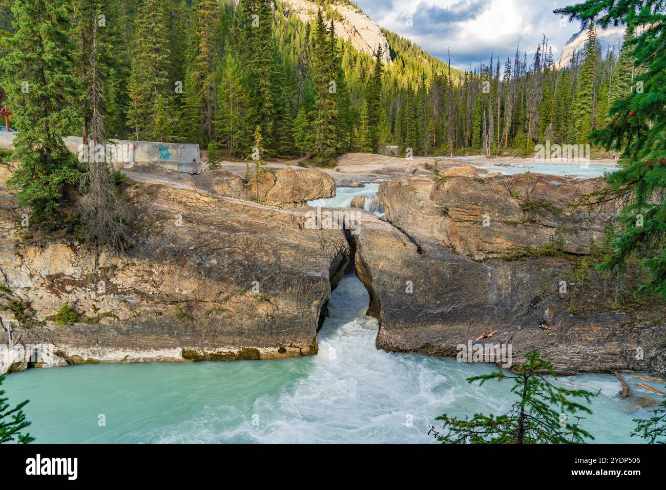 Natural Bridge Falls in Yoho National Park, British Columbia, Canada ...