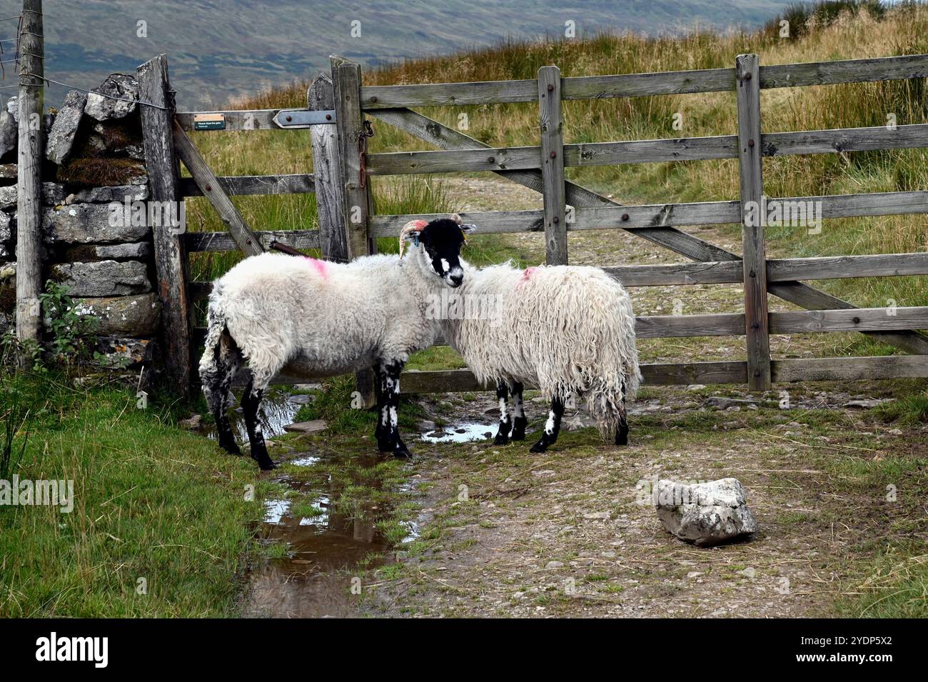 The Yorkshire Dales and the track and path from Kettlewell to ...