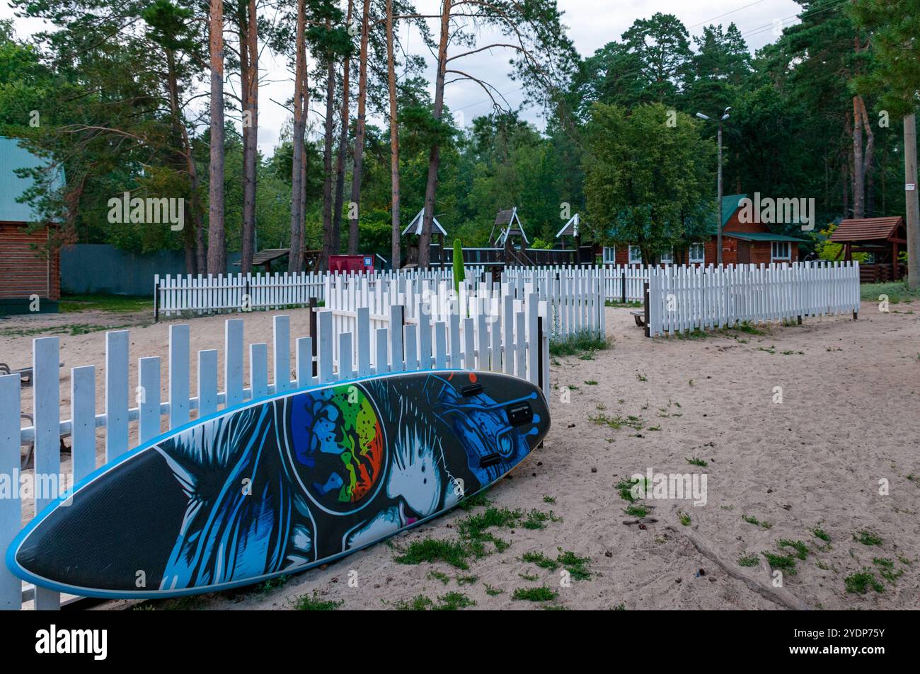 Sapsurfer hi-res stock photography and images - Alamy