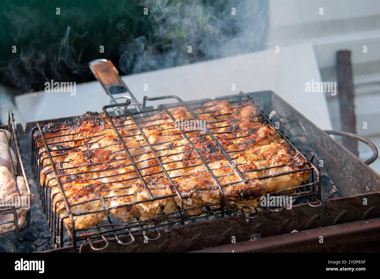 Country and garden plots Barbecue chicken shish kebab Samara Samara ...