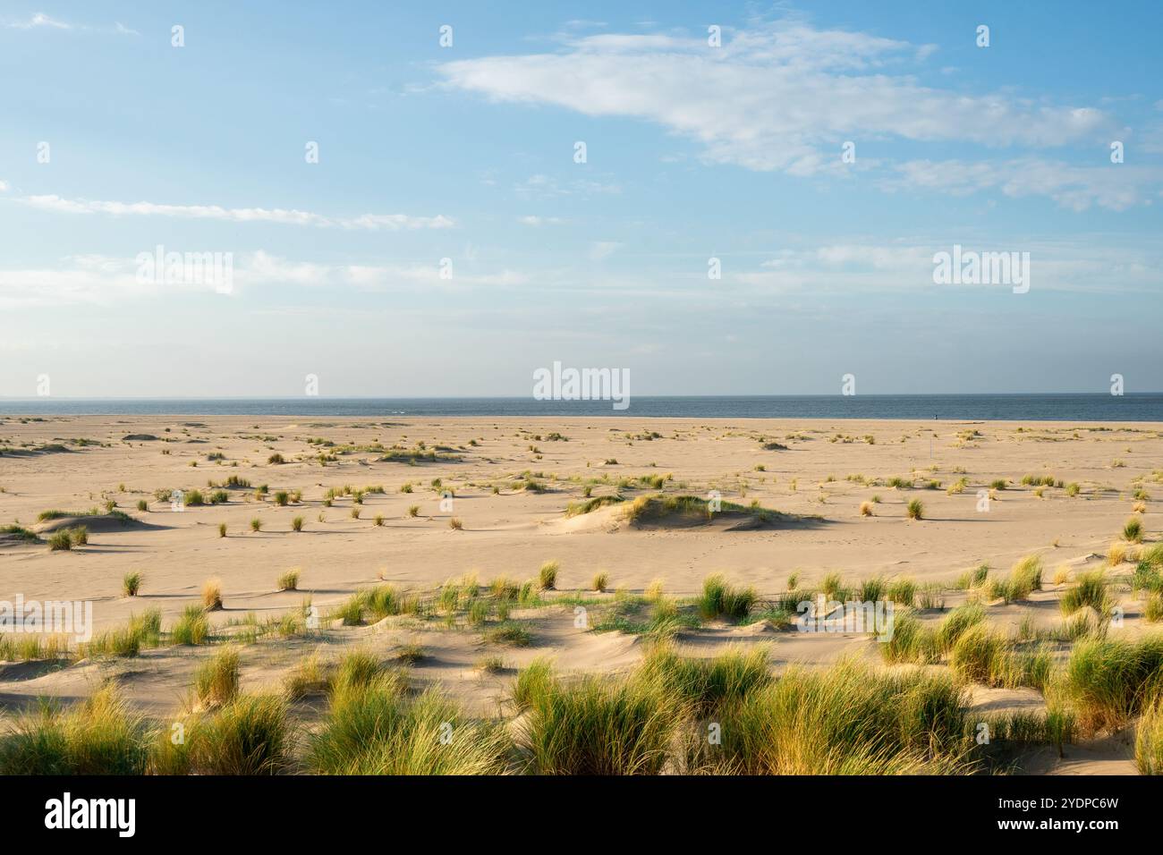 The beautiful beach and dunes at the Maasvlakte, Rotterdam, The ...
