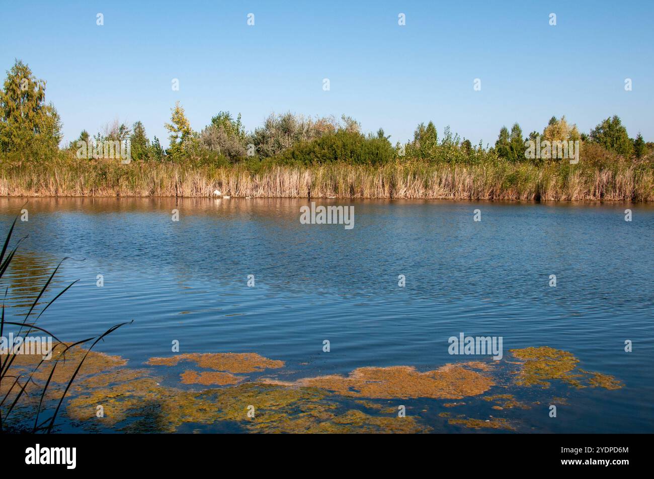 Nature of the Samara region Two-brother Lake in Samara Samara Samara ...