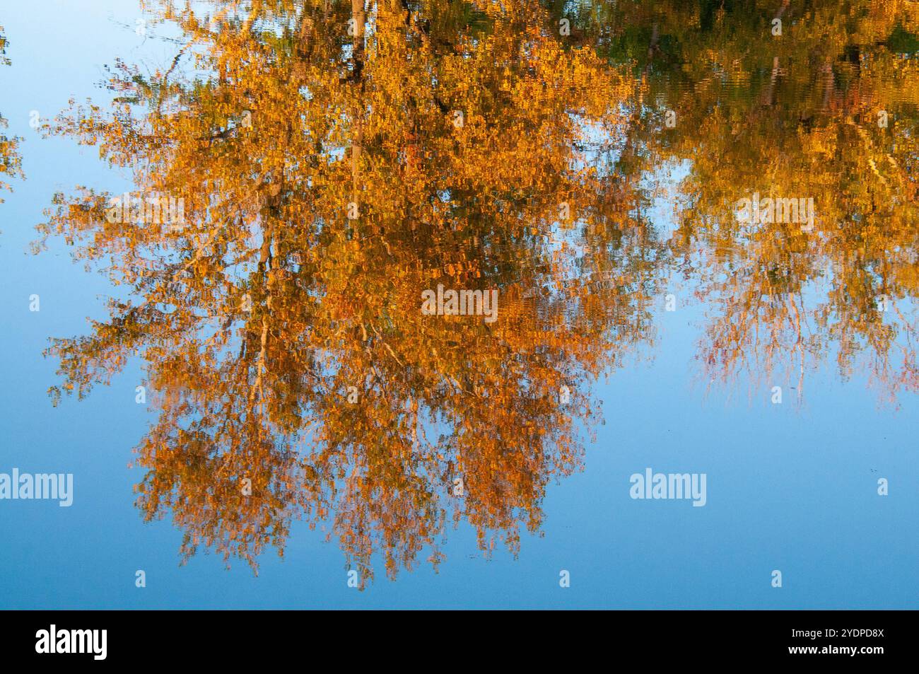 Nature of the Samara region Two-brother Lake in Samara Samara Samara ...