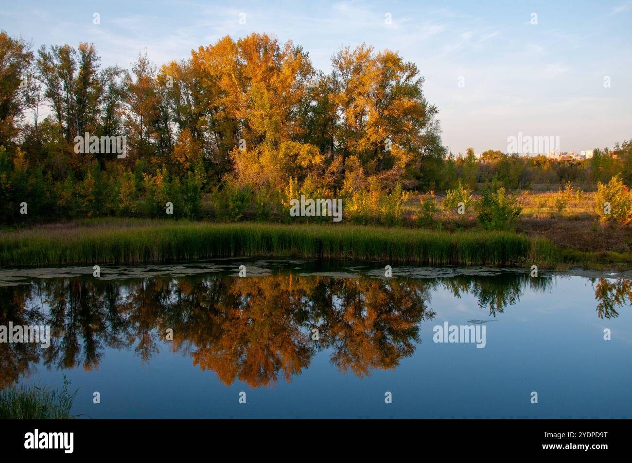 Nature of the Samara region Two-brother Lake in Samara Samara Samara ...