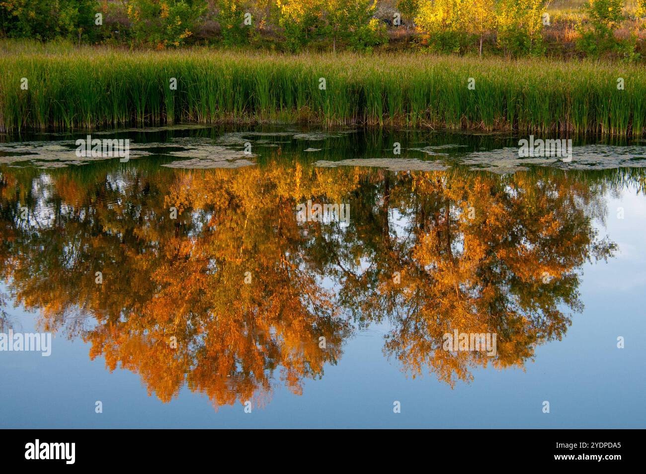 Nature of the Samara region Two-brother Lake in Samara Samara Samara ...