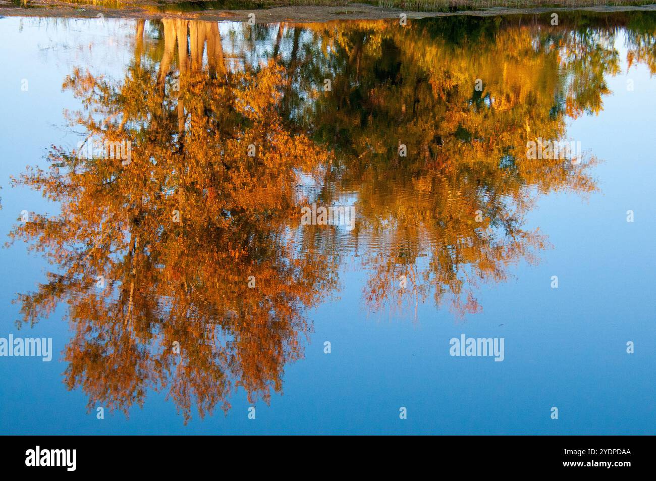 Nature of the Samara region Two-brother Lake in Samara Samara Samara ...