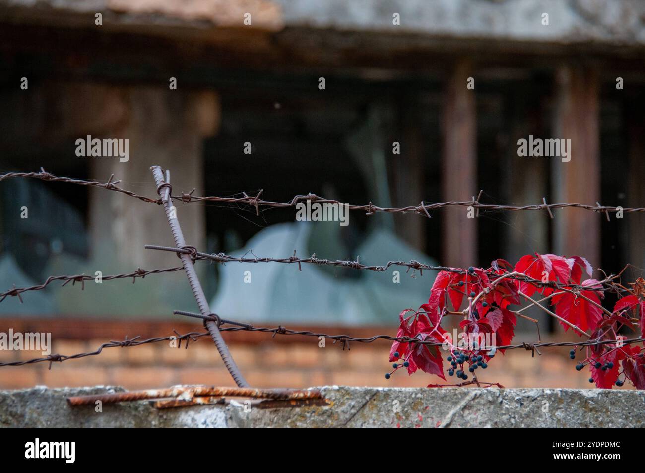 Dilapidated housing in Samara Broken glass from the windows of an ...