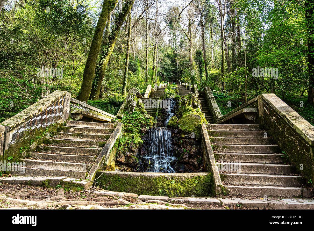 Famous water stairway Fonte Fria in the magical ancient forest of ...