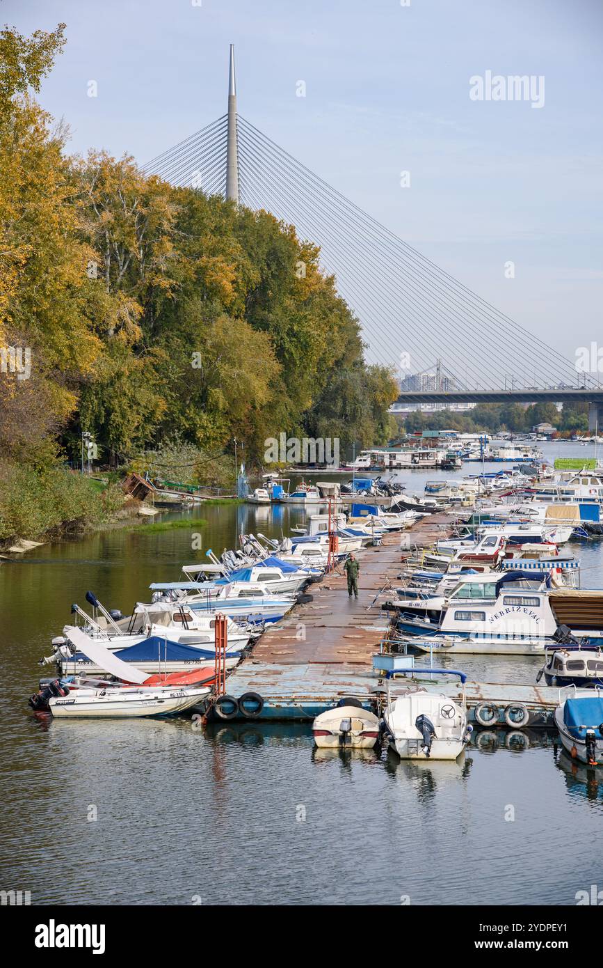 Boat marina at Ada Ciganlija with Ada Bridge, a cable-stayed bridge ...
