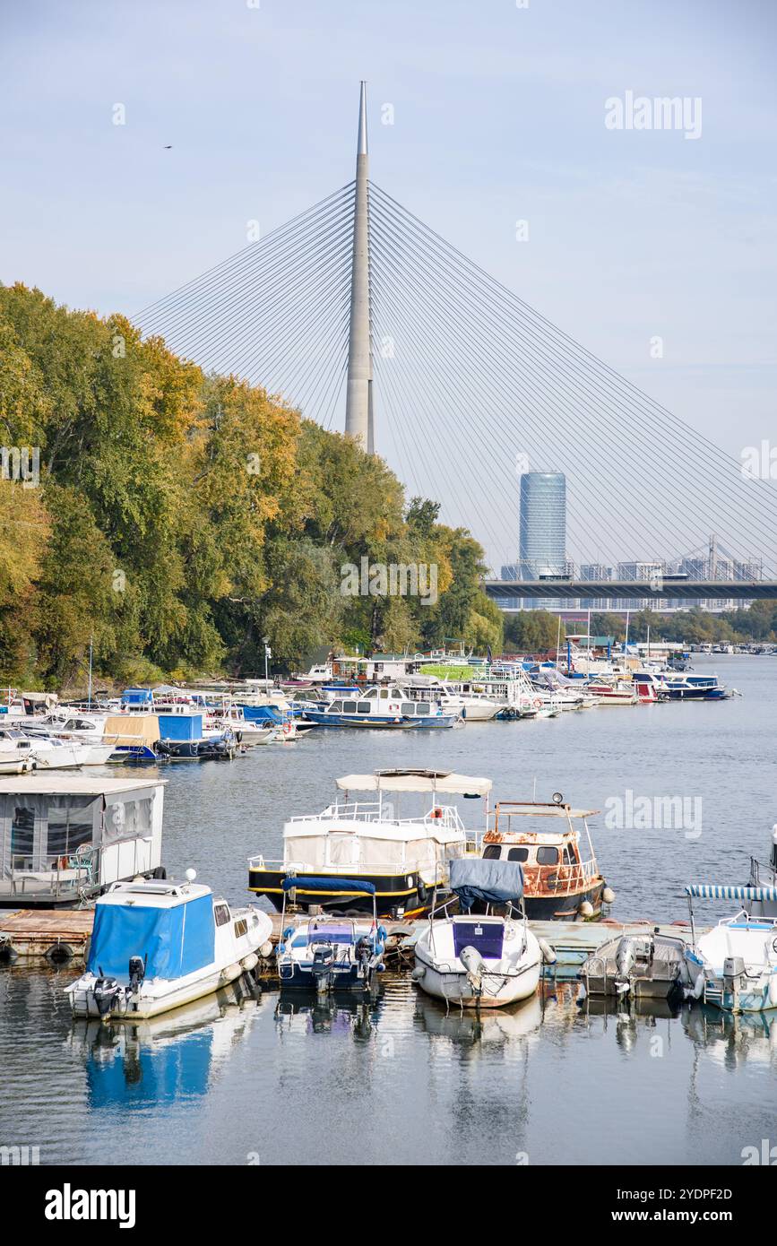 Boat marina at Ada Ciganlija with Ada Bridge, a cable-stayed bridge ...