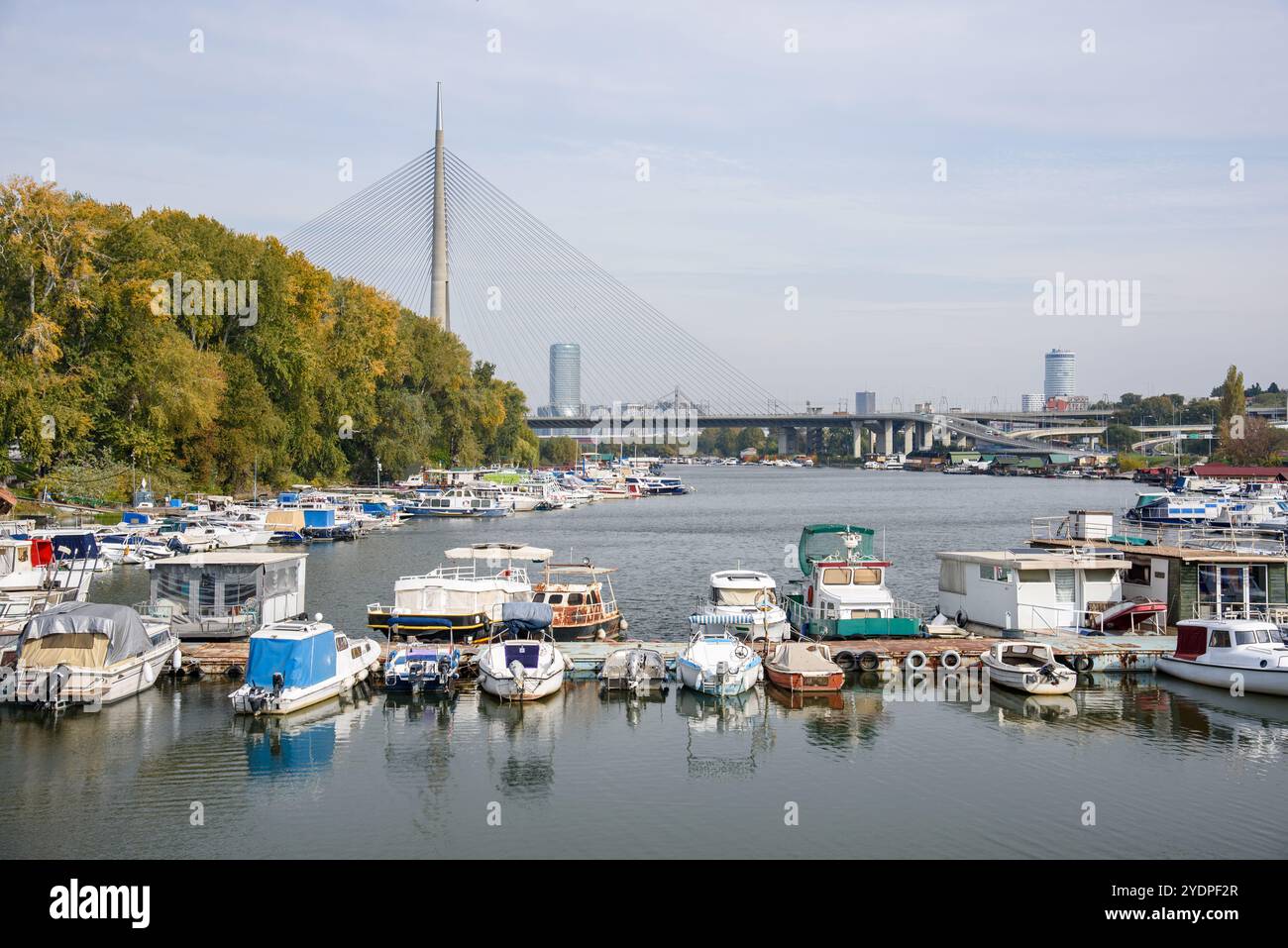 Boat marina at Ada Ciganlija with Ada Bridge, a cable-stayed bridge ...