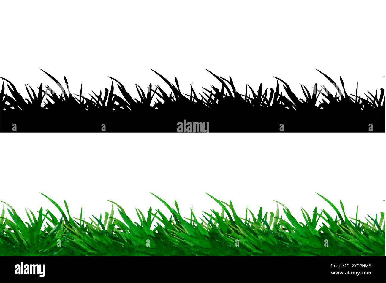 Vector Seamless border with lawn green grass. Illustration of black ...