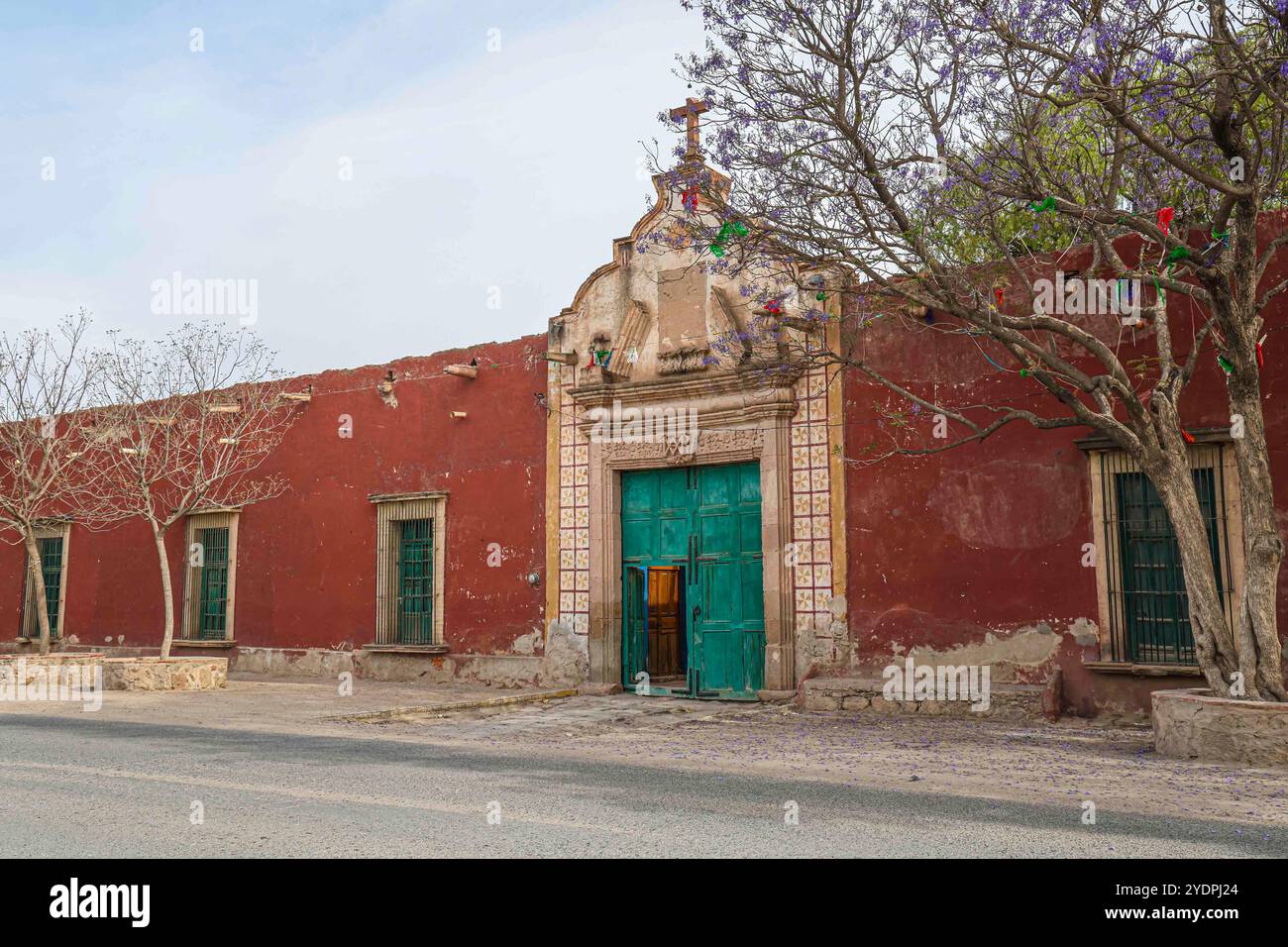 jacaranda tree at hacienda de Peñasco in SANTA MARIA DE GUADALUPE DEL ...