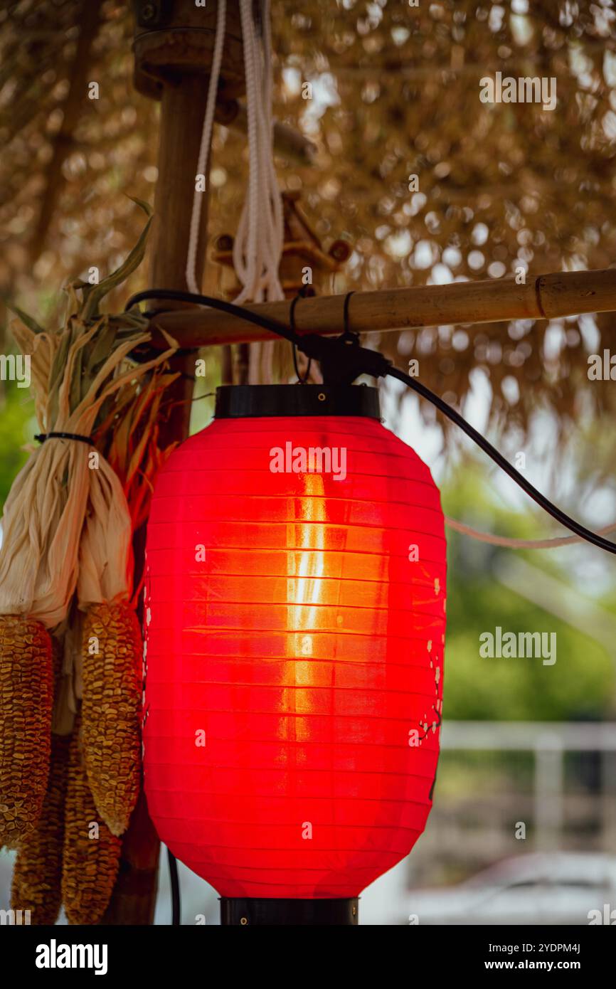 Vertical chinese lantern festival hi-res stock photography and images ...