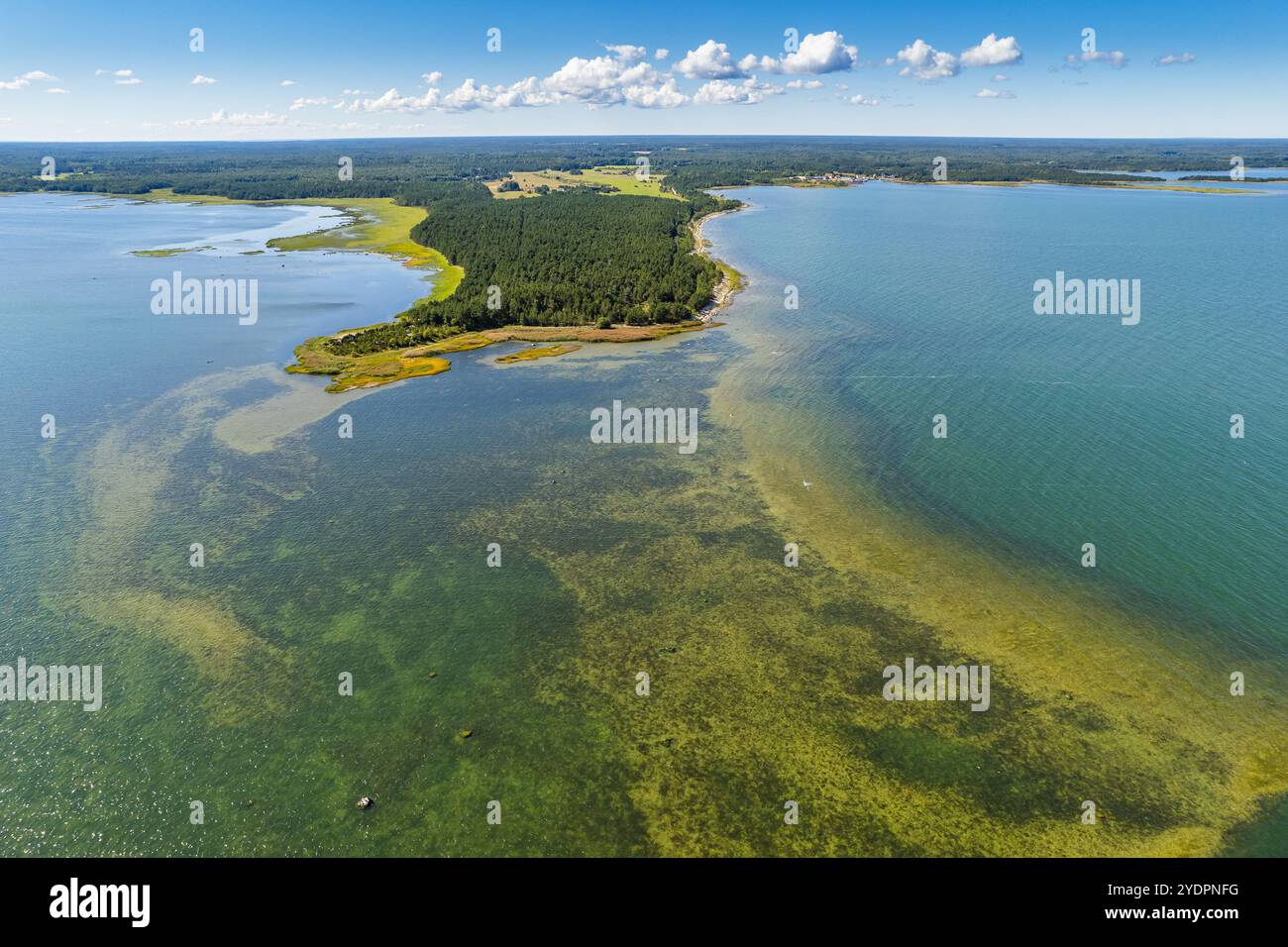 Aerial view of Saare Nina peninsula on Hiiumaa island in Estonia ...