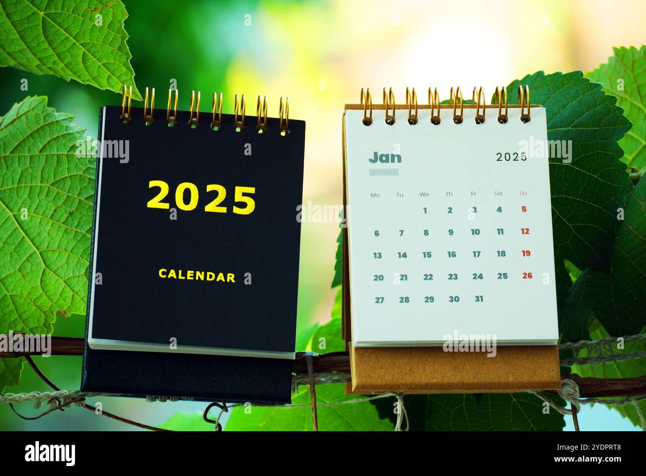 Two desk calendar for January 2025 on the wood table with bokeh ...