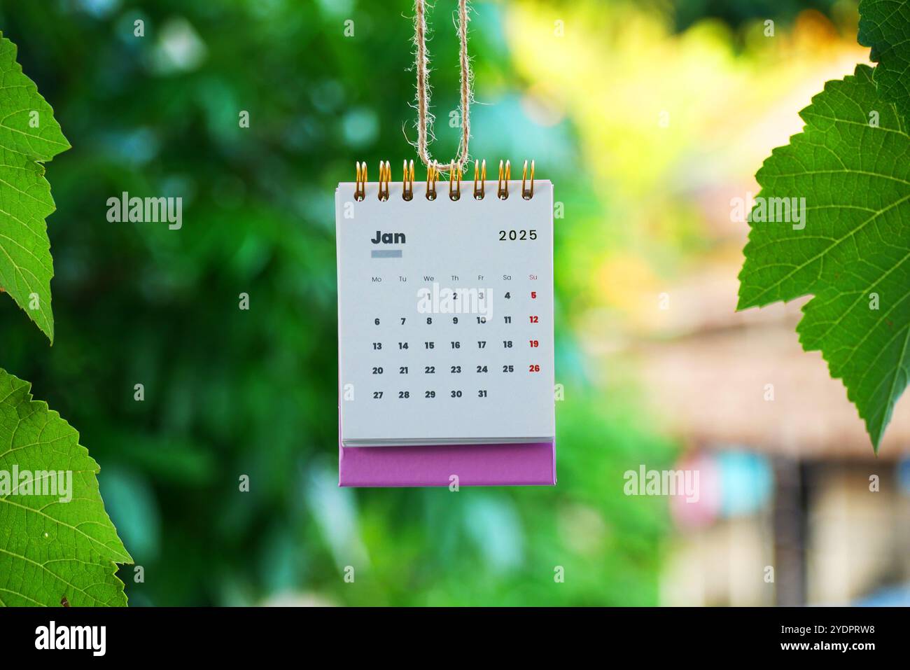 January 2025 desk calendar hanging on a thread against a blurry and ...
