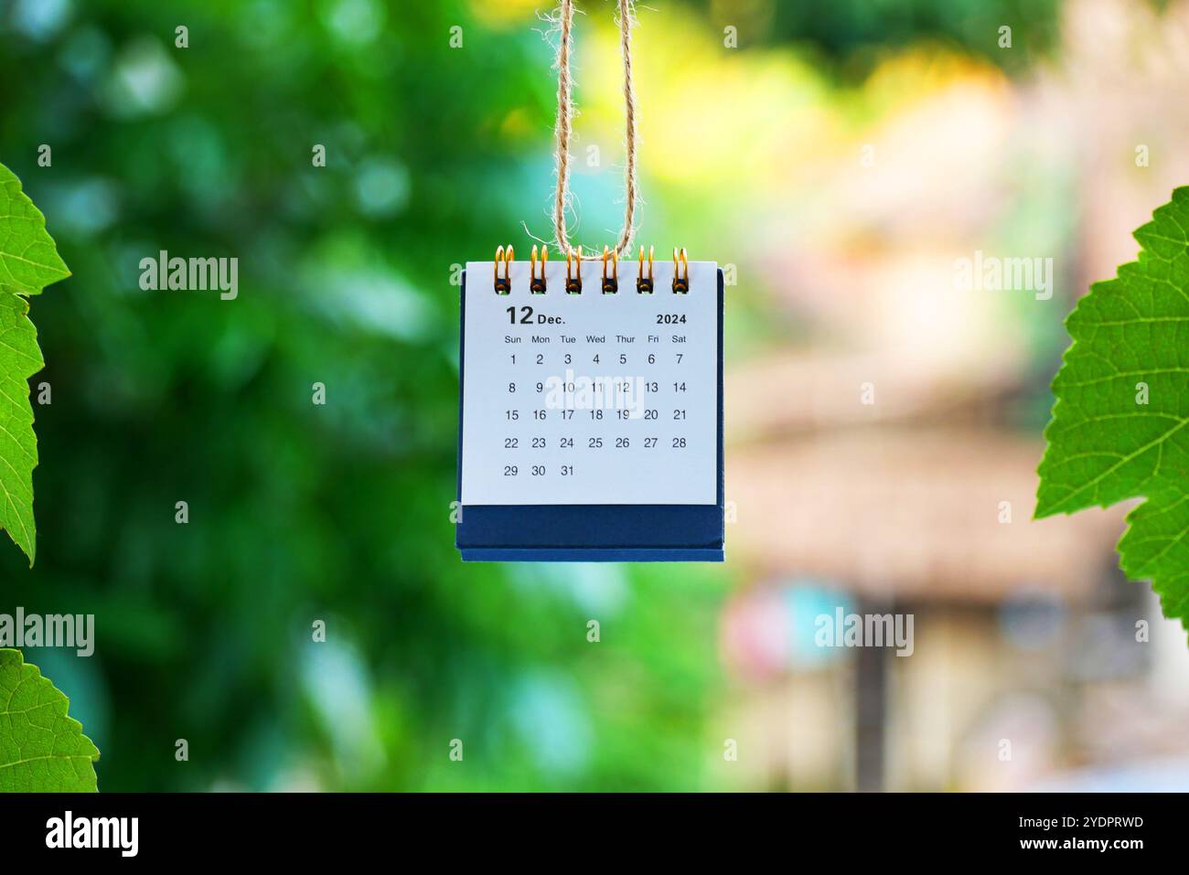 The calendar for December 2024 is hanging with a bokeh garden background. Goodbye 2024. New Year ...