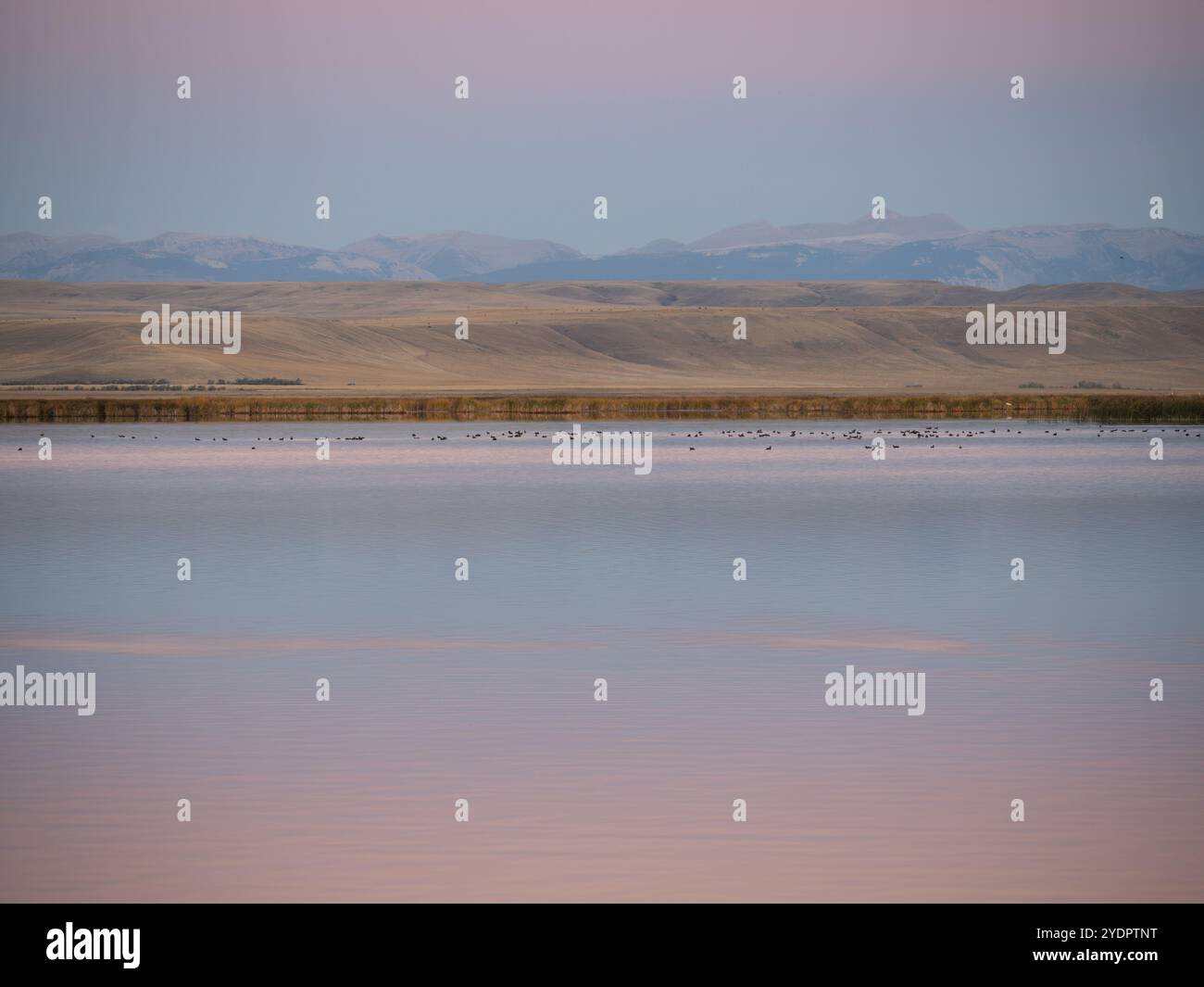Choteau montana hi-res stock photography and images - Alamy