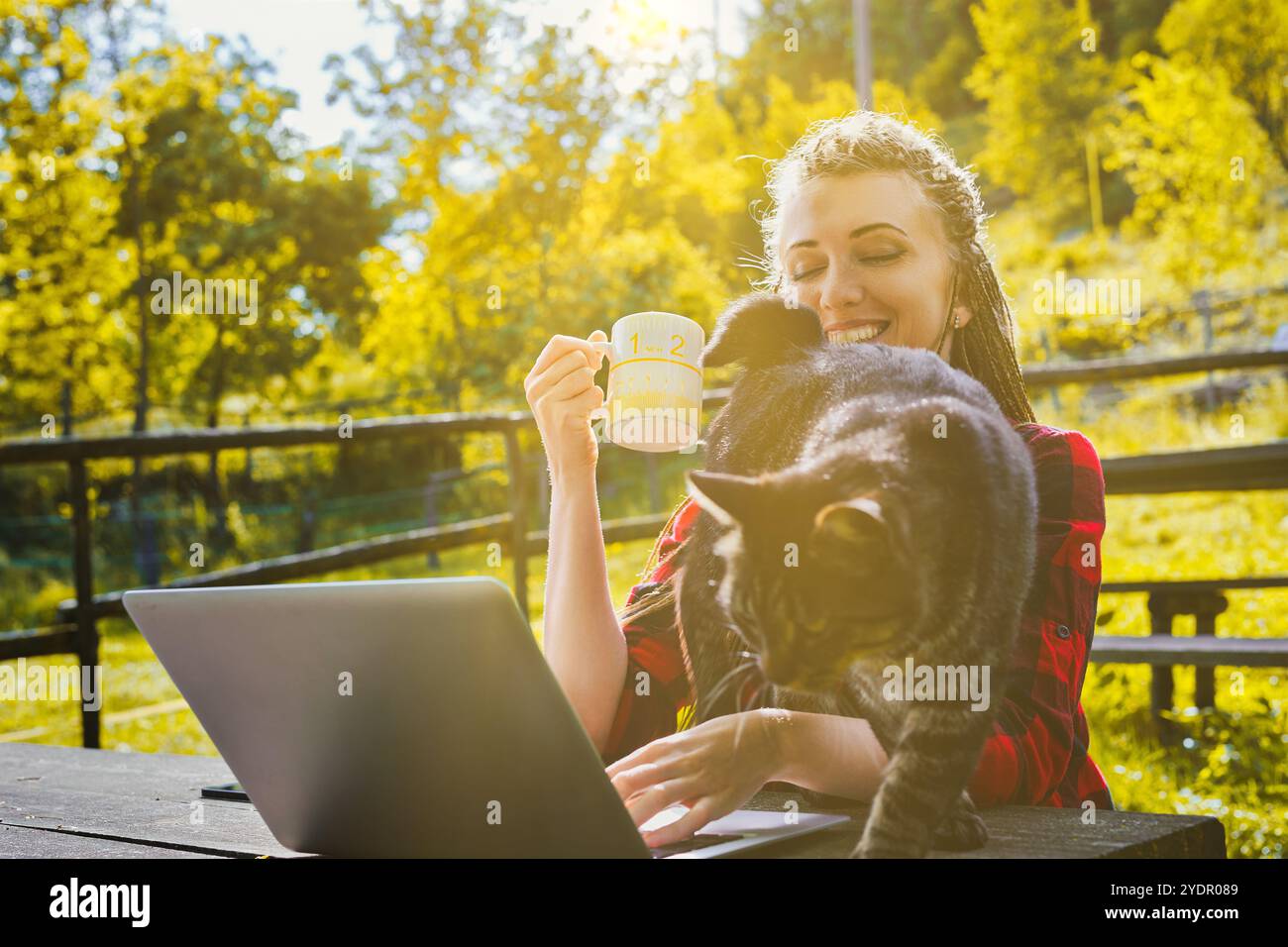Woman working laptop cuddling cat hi-res stock photography and images ...