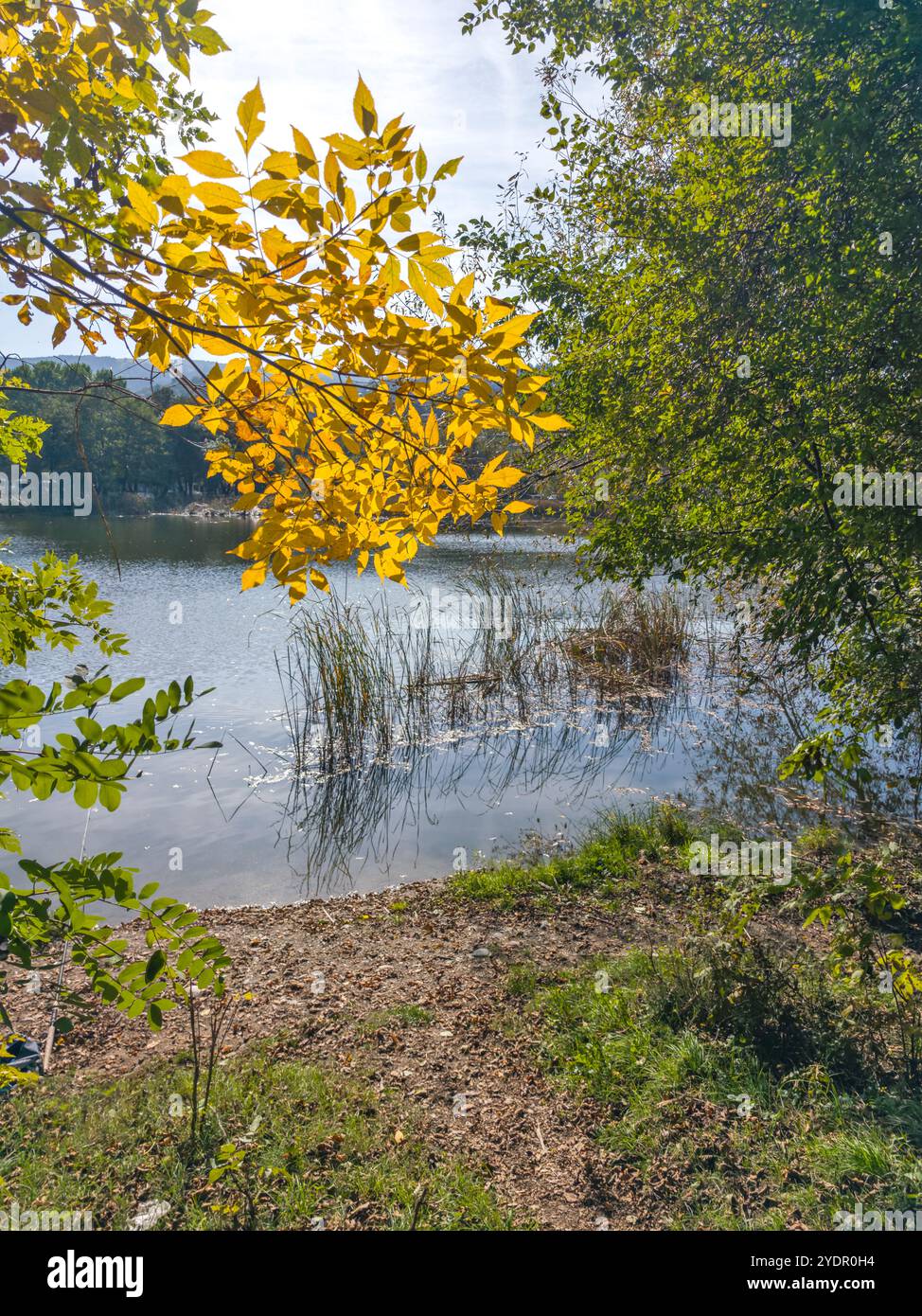 Autumn Landscape of Pancharevo lake, Sofia city Region, Bulgaria Stock ...
