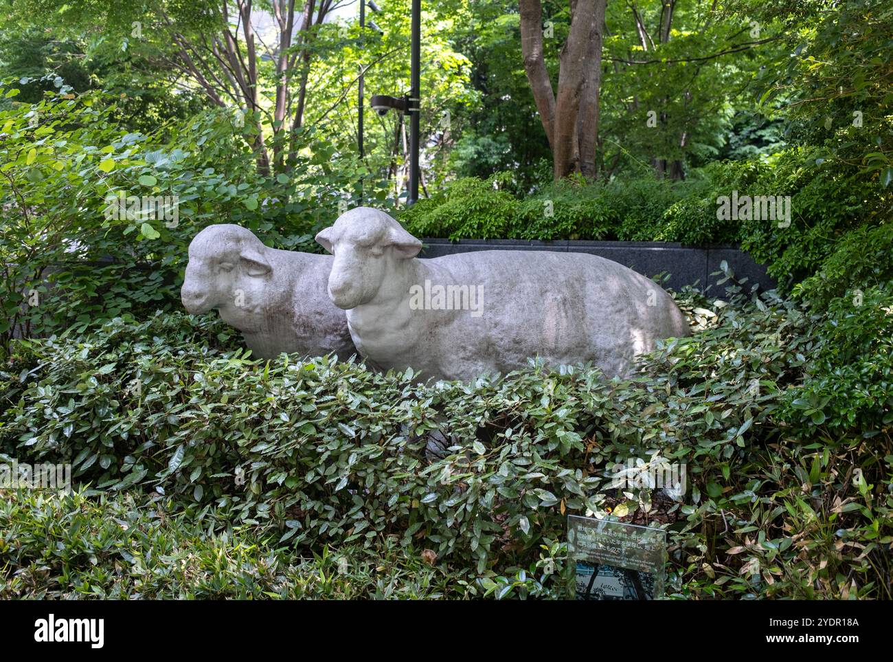 Sheep statues hi-res stock photography and images - Alamy