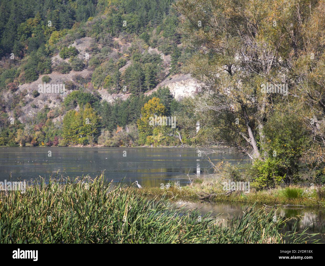 Autumn Landscape of Pancharevo lake, Sofia city Region, Bulgaria Stock ...