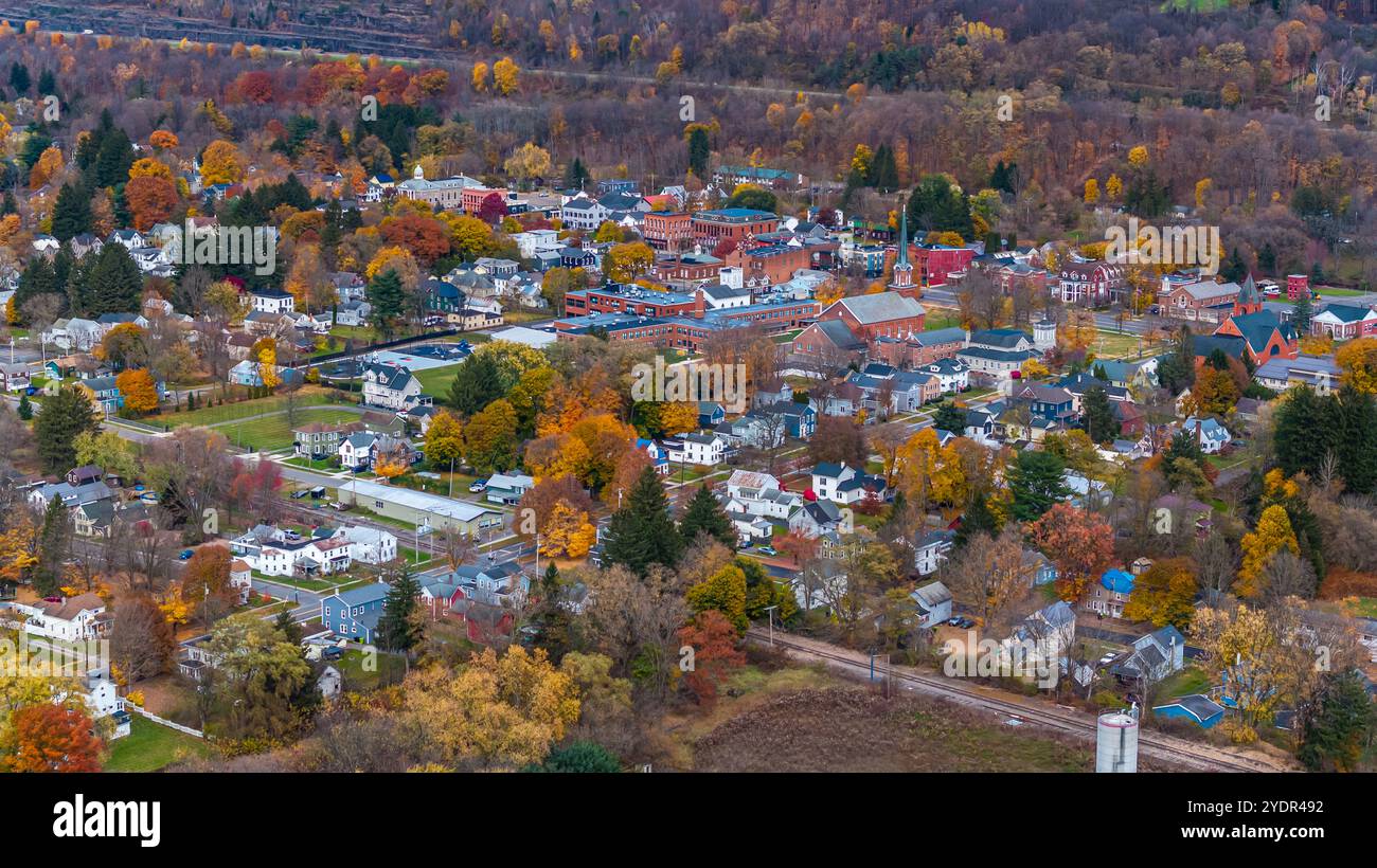 Aerial photo of fall foliage surrounding the Village of Homer, Cortland ...