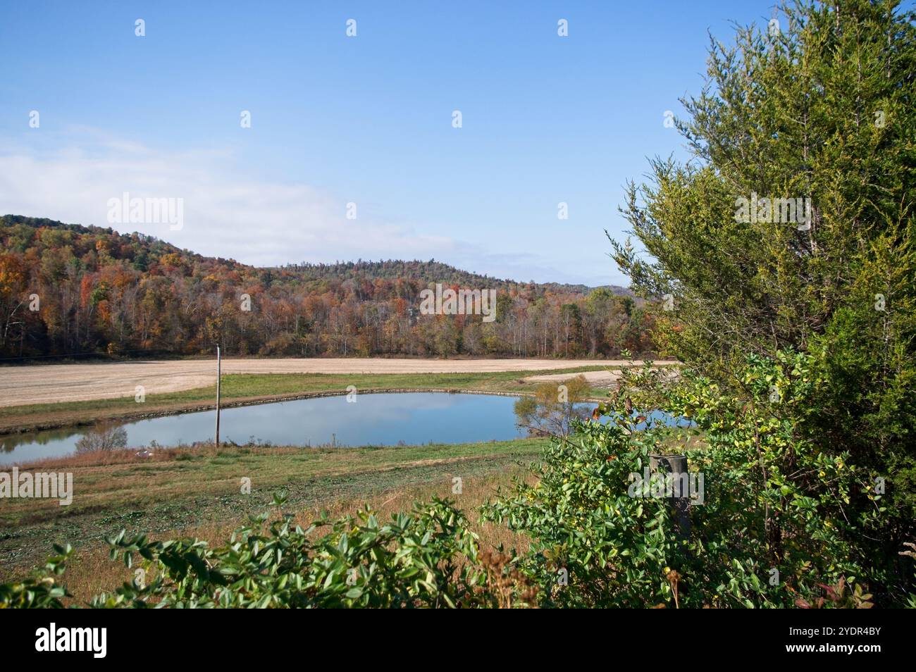 Farm pond with hills framed by a fence and tree Stock Photo - Alamy